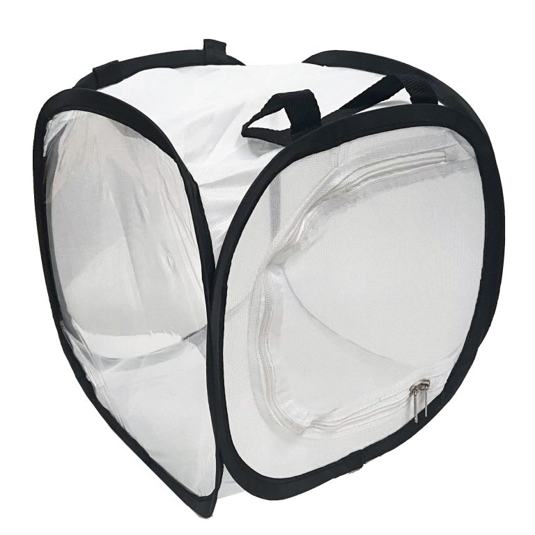 Stick Insect Cages – Stick Insects UK