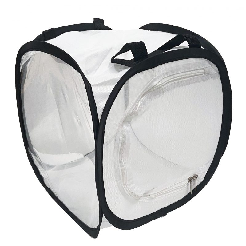 Stick Insect Cages – Stick Insects UK