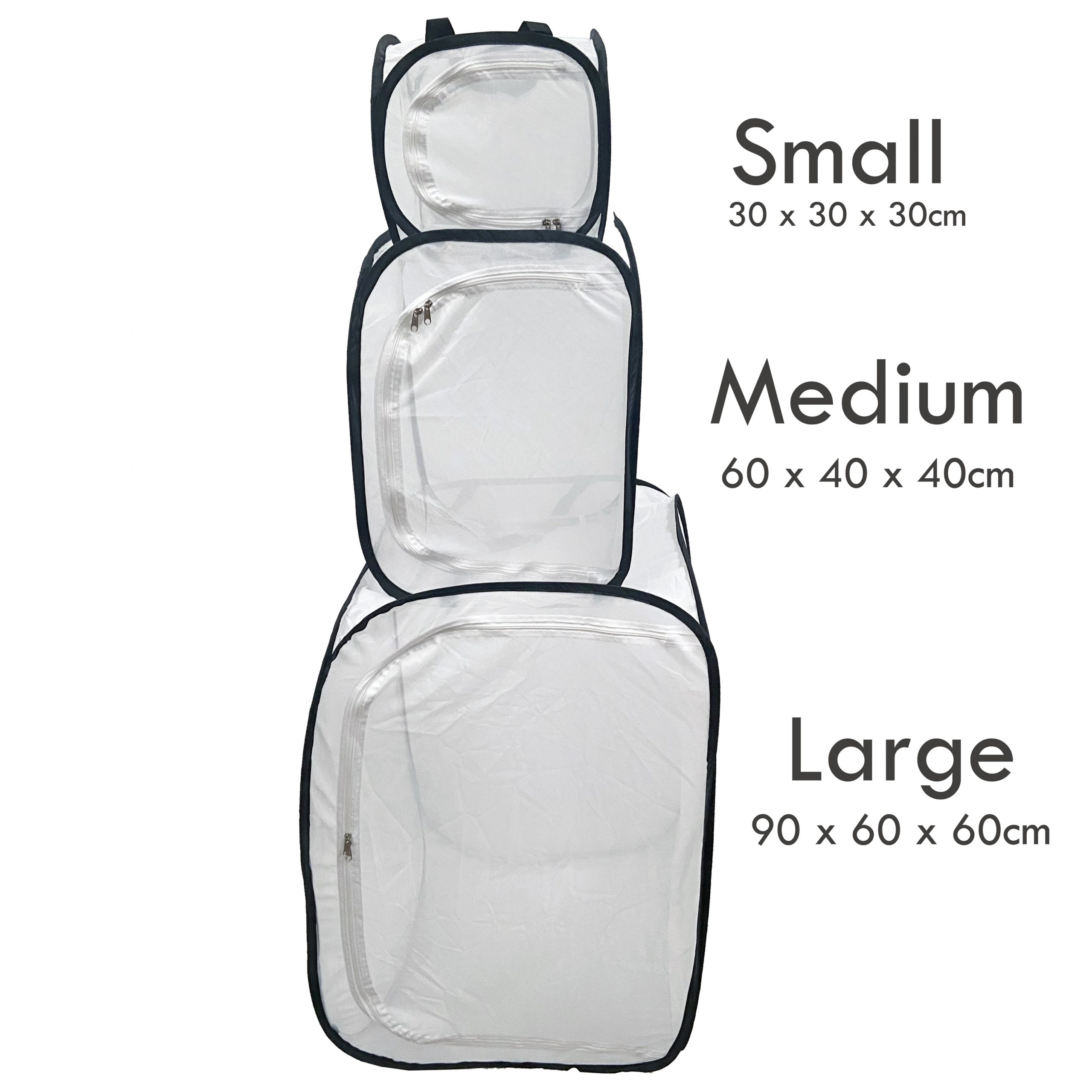 Small Stick Insect Cage 30cm x 30cm x 30cm – Stick Insects UK