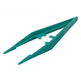 Stick Insect Starter Kit – Stick Insects UK